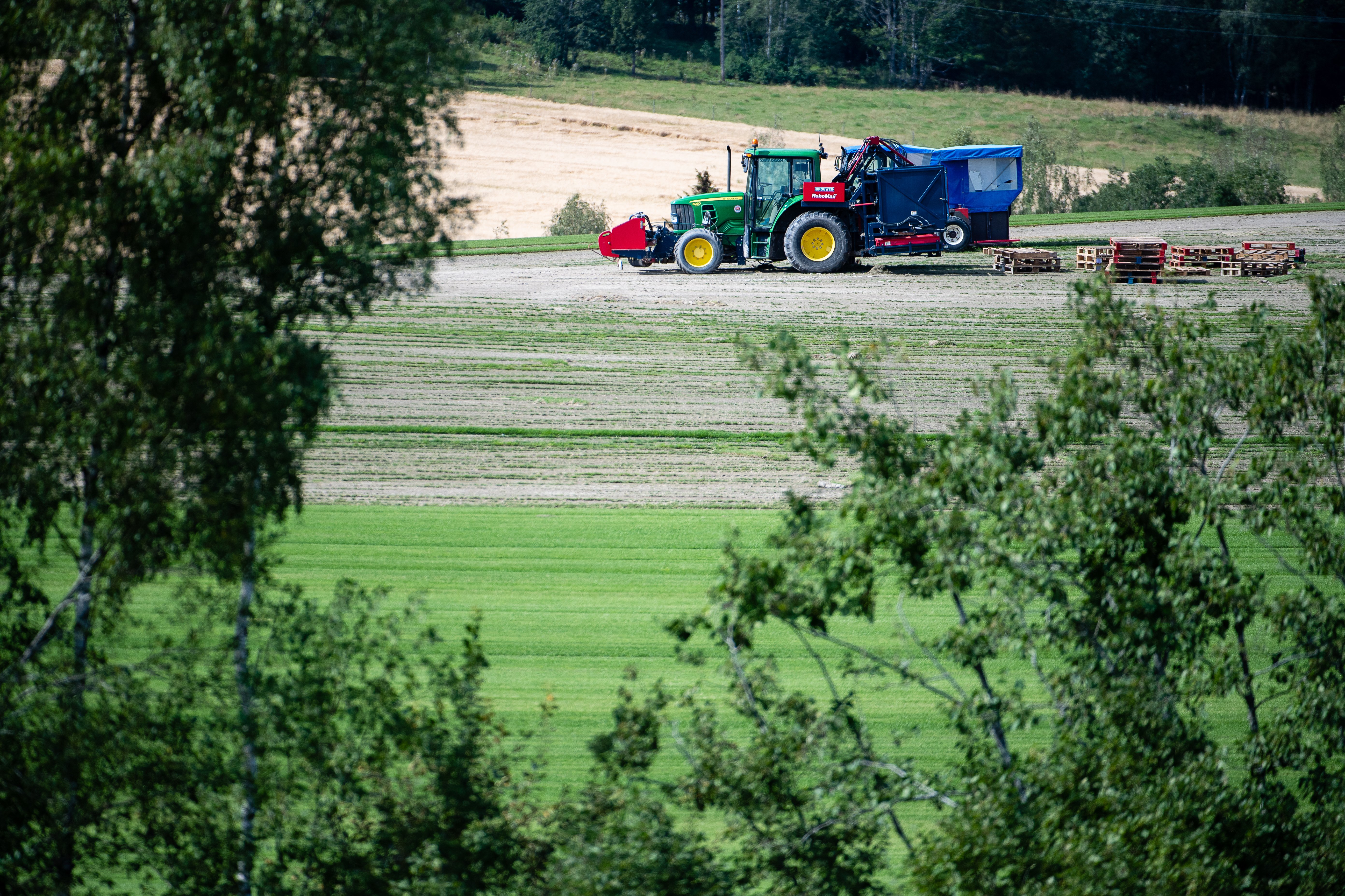 Inn på tunet - Landbruksdirektoratet